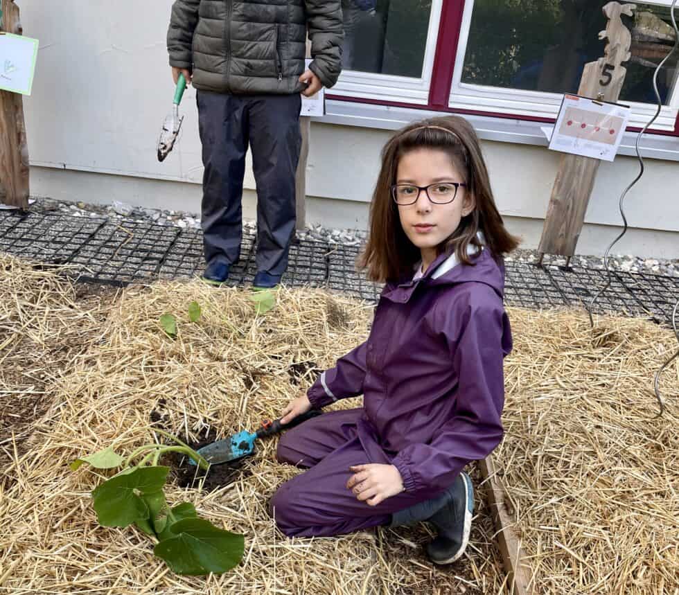 Schulgarten erlebt zweite Pflanzung unter Anleitung von AckerCoach Lea ...